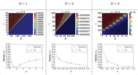 Dynamics Of The Spin Spin Correlation Function In The Local Regime