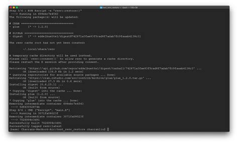 introduction of renv package chaoran s data story