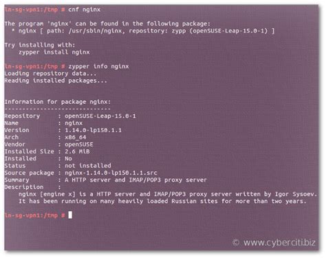 how to install and use nginx on opensuse linux server