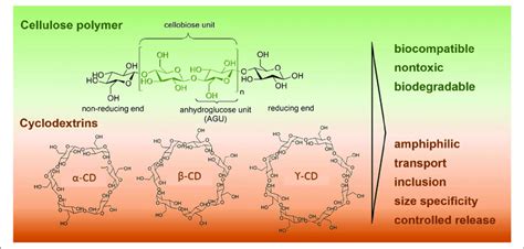 Top The Cellulose Polymer Chain Structure Bottom Representation