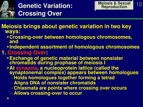 Biology 9th Ed Sylvia Mader Ppt Download