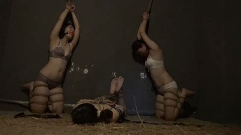 Forumophilia Porn Forum Asian Girls Bound And Gagged Page 213