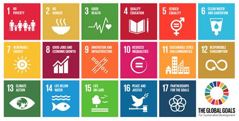 one year anniversary of the sustainable development goals