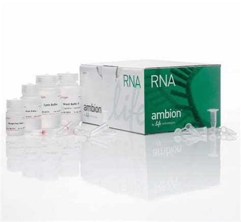 Invitrogen Purelink Rna Mini Kit Rna Mini Kit 250 Preps Molecular