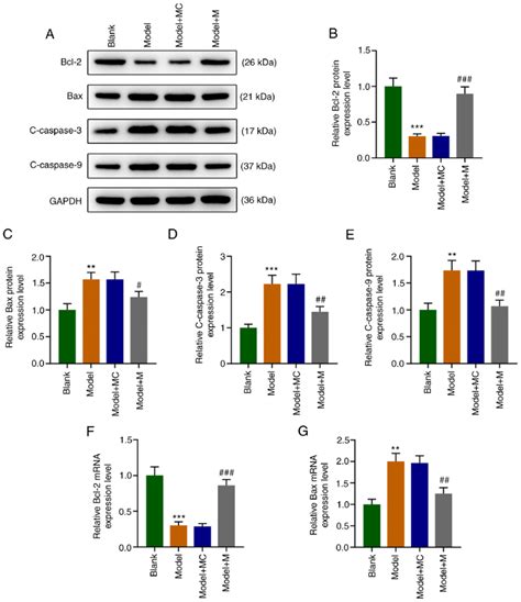 High Expression Of Mir 122 5p Can Partially Offset The Effect Of H 2 O