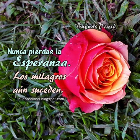 Frases De Aliento Nunca Pierdas La Esperanza Imágenes Y Frases De