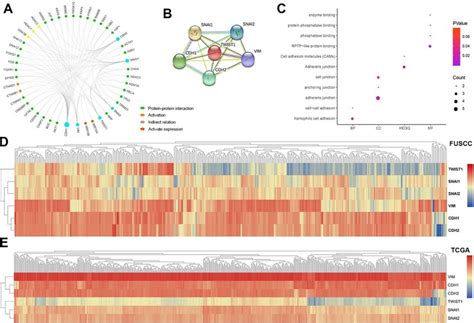 Module Analysis And Functional Annotations Of The Six Emt Related Gene