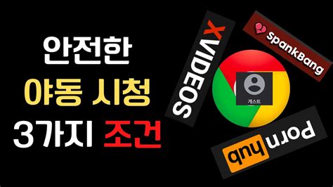 러시아 구글 우회 크롬으로 야동 스마트하게 보는 3가지 방법 게스트 시크릿 모드 Vpn 사이트까지 알차다 스마트