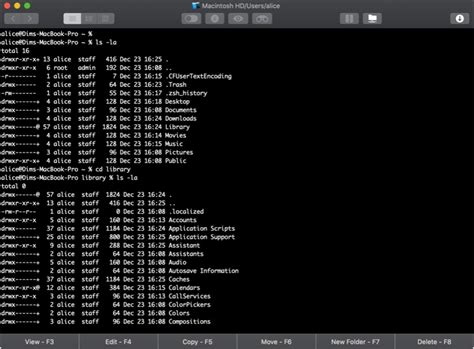 best mac terminal commands nsaactive