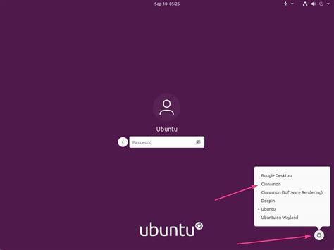how to install cinnamon desktop environment on ubuntu 20