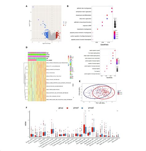 Functional Annotation Analysis Of Differentially Expressed Genes