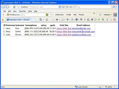 summary formatting fields in an asp gridview with microsoft