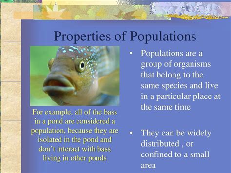 Ppt Understanding Populations Powerpoint Presentation Free Download