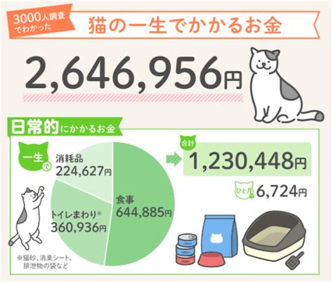 猫を飼うのに生涯でかかるお金は？ 調査で「264万6956円」という結果に 2023年3月13日掲載 ライブドアニュース