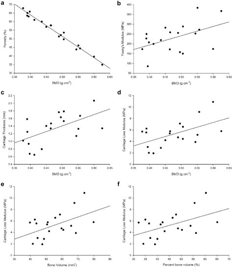 Plots Of A Porosity Vs Bone Mineral Density Bmd G Cm À3 B