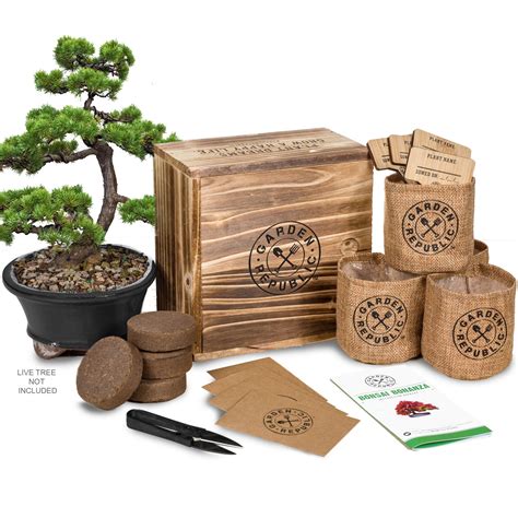 Bonsai Tree Seed Starter Kit Mini Bonsai Plant Growing Kit 4 Types