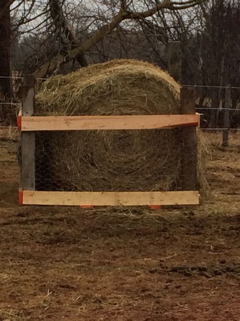 Round Bale Feeder For Cattle With Horns At Marlene Jones Blog