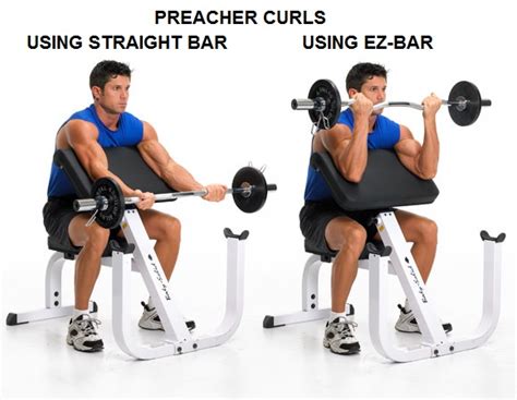 Preacher Curls • Bodybuilding Wizard