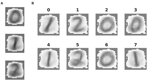 frontiers unsupervised learning and clustered connectivity enhance