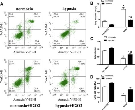 The Effect Of Hypoxic Preconditioning To Msc Survival Hypoxic