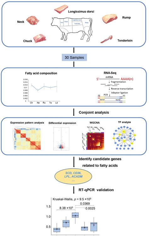 Figure 1 From Comparative Transcriptomic Analysis Reveals Diverse