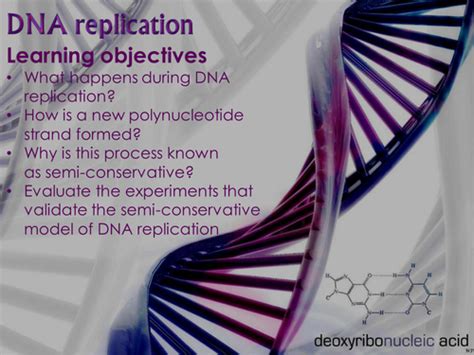 Aqa As And A Level Biology 2016 Specification Section 1 Topic 2