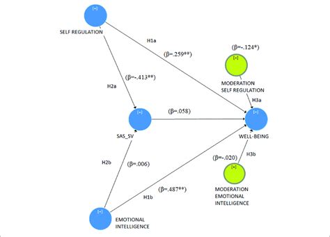 Conceptual Framework Results From Pls Sem H1a Hypothesis 1a H1b