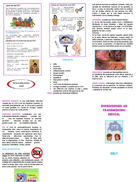 Triptico Its Pdf Infección Transmitida Sexualmente Vih Sida