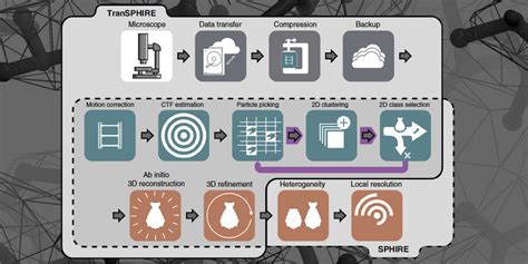 transhire fully automated software package for cryoem max planck