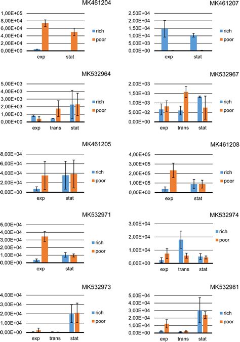 Frontiers Screening And Transcriptional Analysis Of Polyketide