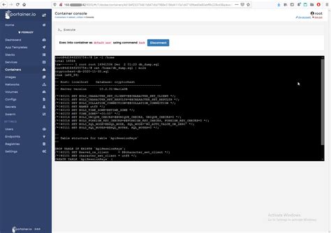 viacheslav eremin deploy data to dockerized mysql and mariadb