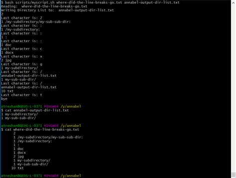 unix file counting challenge part 3 counting with shell scripts