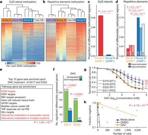 Whole Genome Bisulphite Sequencing Validates A Cpg Island Methylator