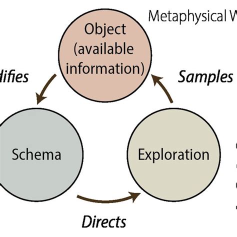 Perceptual Cycle Of Perception And Cognition Based On [16] Download