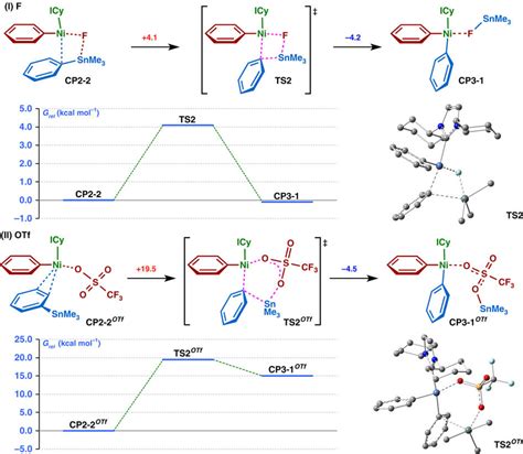 Transmetalation Step Dft Calculation For The Transmetalation Step In
