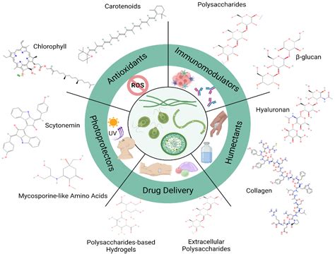 Microalgae Bioactive Compounds To Topical Applications Products