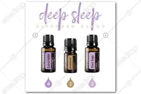 Deep Sleep Diffuser Blend By Melanie Holding