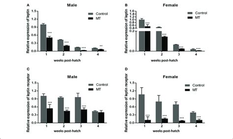 Effects Of Mt On The Expression Of Lep And Lepr Mrna During Juvenile