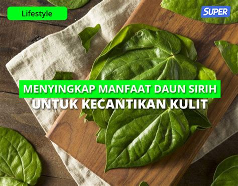 8 Manfaat Daun Sirih Untuk Wajah Dan Kecantikan Kulit