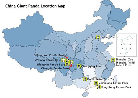 panda hug 2022 where to hold a panda in china