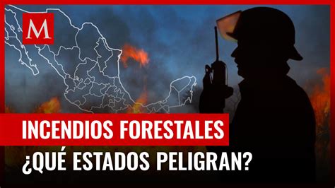 ¿qué Estados Tienen Más Posibilidad De Sufrir Incendios En El País