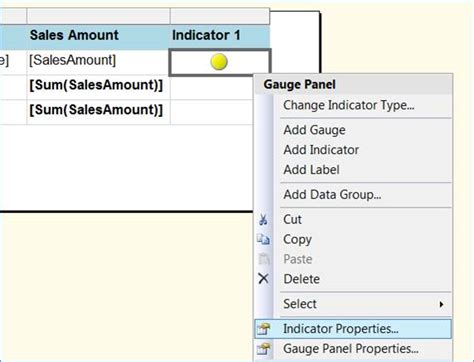 creating indicator and gauge report in ssrs sql server