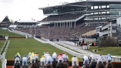 Big And Getting Bigger Cheltenham Festival Dominates Top Betting Races