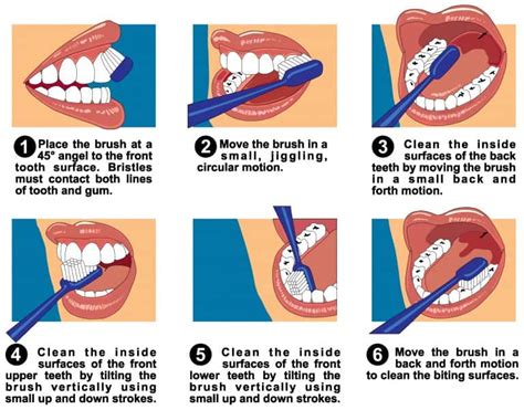 Oral Hygiene Jing Jing Qian Dds