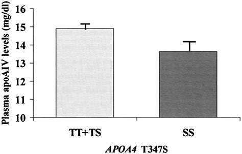 Apolipoprotein Aiv Gene Variant S347 Is Associated With Increased Risk