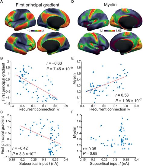 inversion of a large scale circuit model reveals a cortical hierarchy