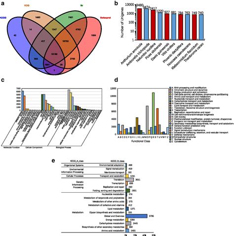 Functional Annotation And Classification Of Unigenes Using Different