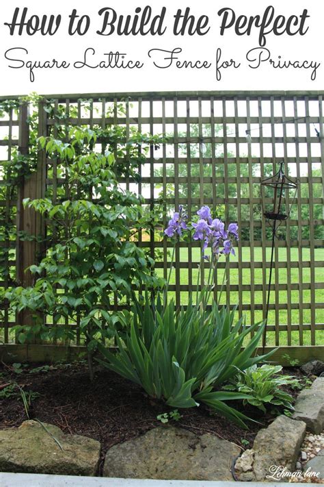 Diy How To Build A Beautiful Square Lattice Fence Panels For Privacy In