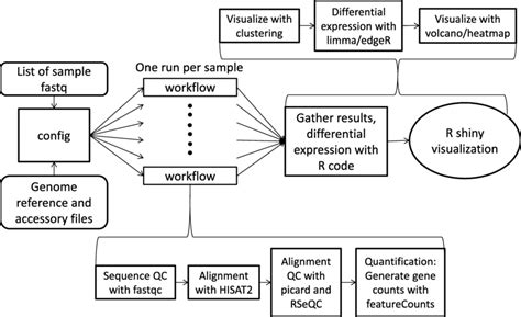Schematic Workflow Of Rnaseq Pipeline A List Of Fastq Files And