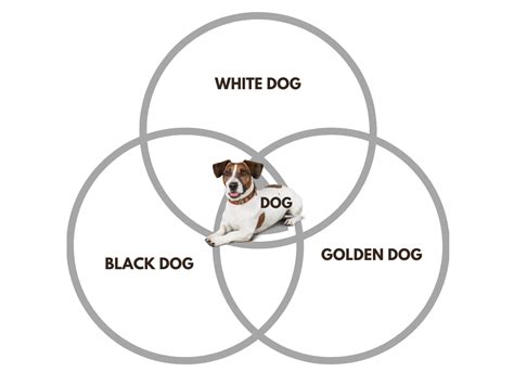 variables in java technotoken